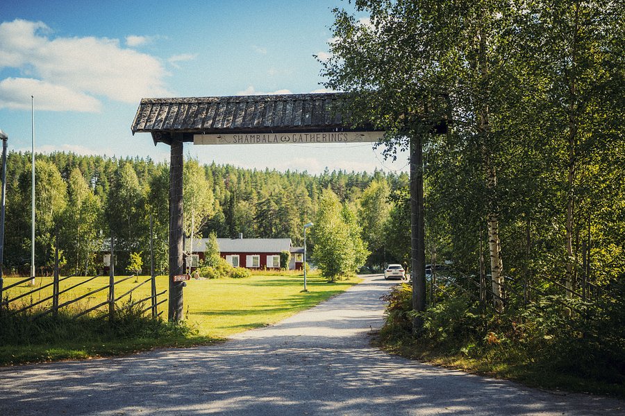 Yoga Retreat in Sweden. Saunas, yoga, meditation, swims, forest walks.