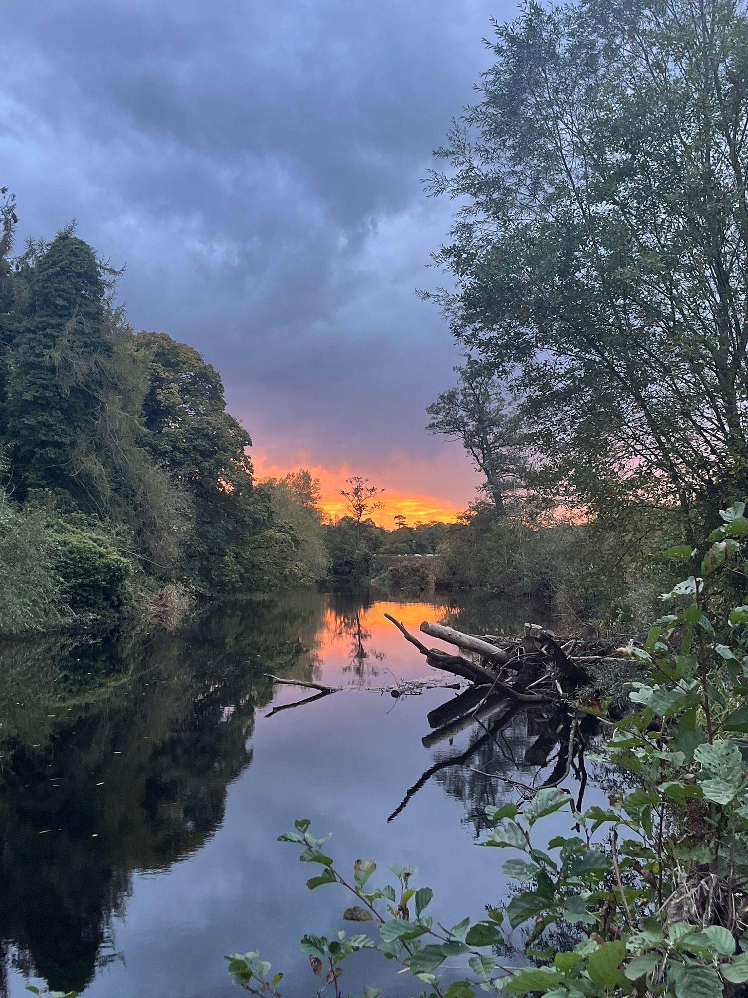 Sauna by the River Whitby’s Hidden Wild Sauna. | Whitby Wellbeing And ...