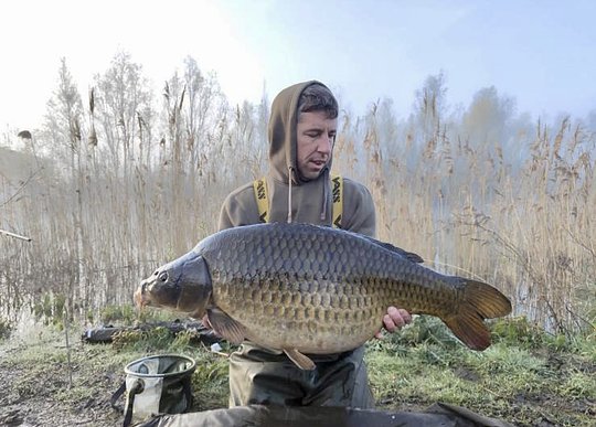 LAKES | Apps Court
