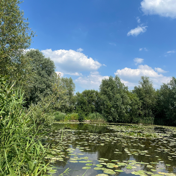 Homepage | Apps Court