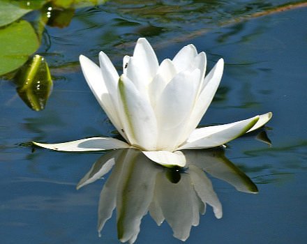 The Danube Delta Experience | Something different, somewhere different ...