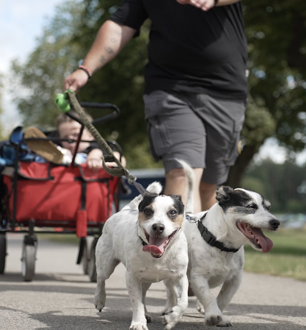 Deva Fest 2026–Award-Winning Family Camping Music Festival Cheshire UK