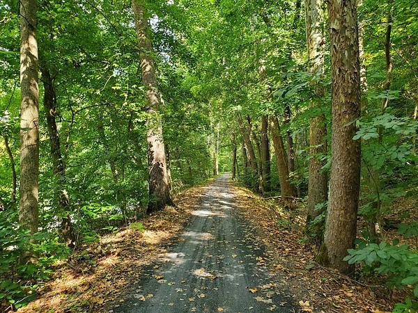 Great Allegheny Passage (GAP) Self-guided 4 Days, 3 nights, 4 Riding ...
