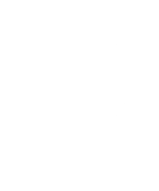 J Resort Entertainment, Reno NV