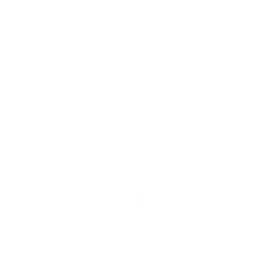 Afro Nation 2025 - Festival Tickets - Burna Boy, Chris Brown, Davido,